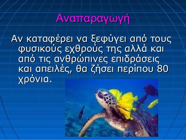 ΚΑΡΕΤΤΑ-ΚΑΡΕΤΤΑ