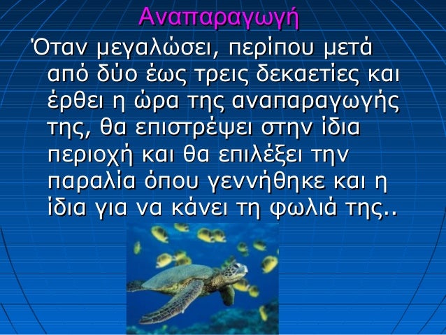 ΚΑΡΕΤΤΑ-ΚΑΡΕΤΤΑ