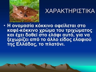 ΤΟ ΚΟΚΚΙΝΟ ΕΛΑΦΙ | PPT