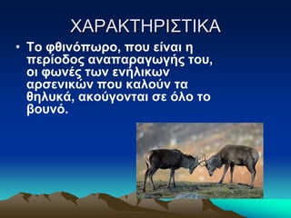 ΤΟ ΚΟΚΚΙΝΟ ΕΛΑΦΙ | PPT