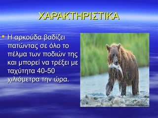 ΚΑΦΕ ΑΡΚΟΥΔΑ | PPT