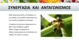 ΟΙΚΟΣΥΣΤΗΜΑΤΑ ΤΗΣ ΕΛΛΑΔΑΣ | PPT