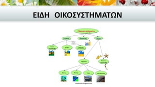 ΟΙΚΟΣΥΣΤΗΜΑΤΑ ΤΗΣ ΕΛΛΑΔΑΣ | PPT