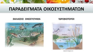 ΟΙΚΟΣΥΣΤΗΜΑΤΑ ΤΗΣ ΕΛΛΑΔΑΣ | PPT