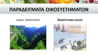 ΟΙΚΟΣΥΣΤΗΜΑΤΑ ΤΗΣ ΕΛΛΑΔΑΣ | PPT