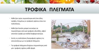 ΟΙΚΟΣΥΣΤΗΜΑΤΑ ΤΗΣ ΕΛΛΑΔΑΣ | PPT