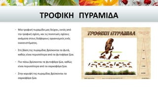 ΟΙΚΟΣΥΣΤΗΜΑΤΑ ΤΗΣ ΕΛΛΑΔΑΣ | PPT