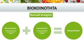 ΟΙΚΟΣΥΣΤΗΜΑΤΑ ΤΗΣ ΕΛΛΑΔΑΣ | PPT