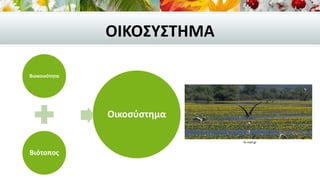ΟΙΚΟΣΥΣΤΗΜΑΤΑ ΤΗΣ ΕΛΛΑΔΑΣ | PPT