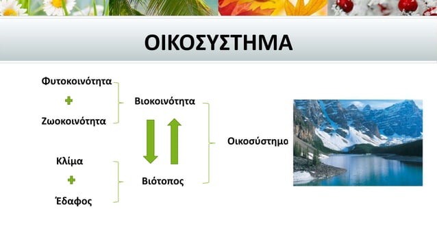 ΟΙΚΟΣΥΣΤΗΜΑΤΑ ΤΗΣ ΕΛΛΑΔΑΣ | PPT