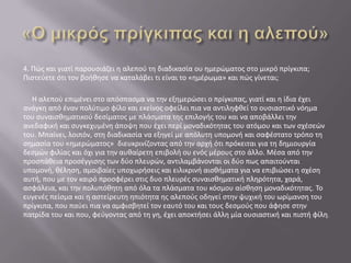 ο μικρός πρίγκιπας και η αλεπού | PPTX