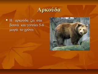 ζώα προς εξαφάνιση | PPT