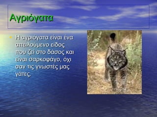 ζωα υπο εξαφανιση | PPT