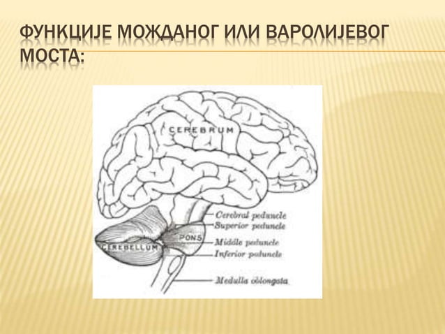 Random 140224044727-phpapp01 | PPTX