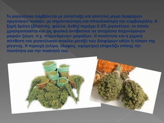Τα αρωματικά και φαρμακευτικά φυτά της αρχαιότητας | PPT