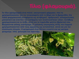 Τα αρωματικά και φαρμακευτικά φυτά της αρχαιότητας | PPT