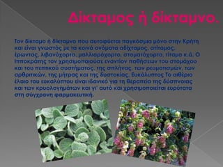 Τα αρωματικά και φαρμακευτικά φυτά της αρχαιότητας | PPT