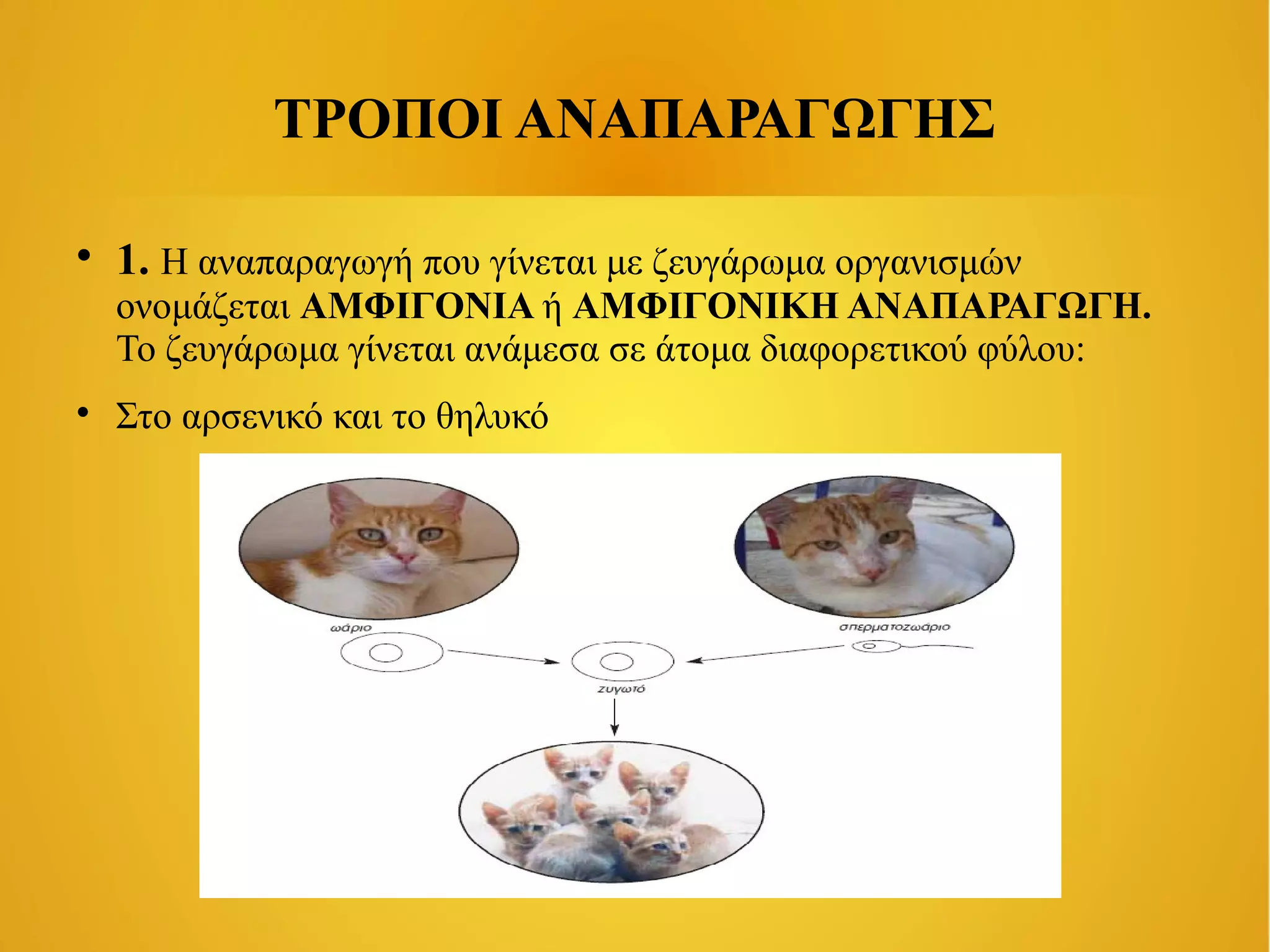 Η αναπαραγωγή στα φυτά βιολογία α γυμνασίου | PPS
