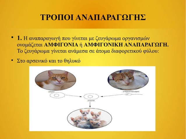 Η αναπαραγωγή στα φυτά βιολογία α γυμνασίου | PPS