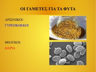 Η αναπαραγωγή στα φυτά βιολογία α γυμνασίου | PPS