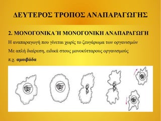 Η αναπαραγωγή στα φυτά βιολογία α γυμνασίου | PPS