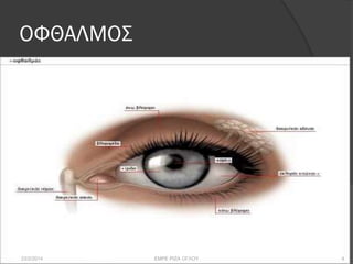 ΦΥΣΙΚΗ- 10 EΝΟΤΗΤΑ «ΦΩΣ»- ΤΟ ΜΑΤΙ | PPTX