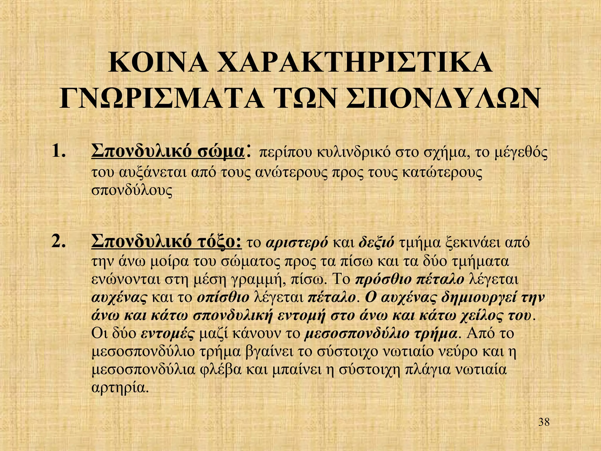 παρουσιαση ερειστικο συστημα οστα-σπονδυλικη στηλη | PPT
