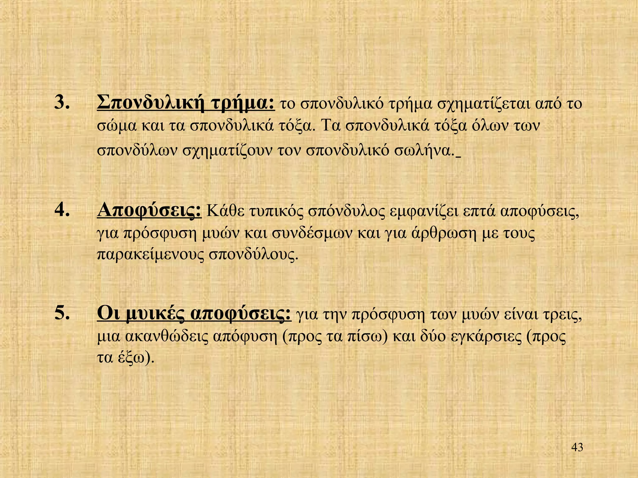 παρουσιαση ερειστικο συστημα οστα-σπονδυλικη στηλη | PPT