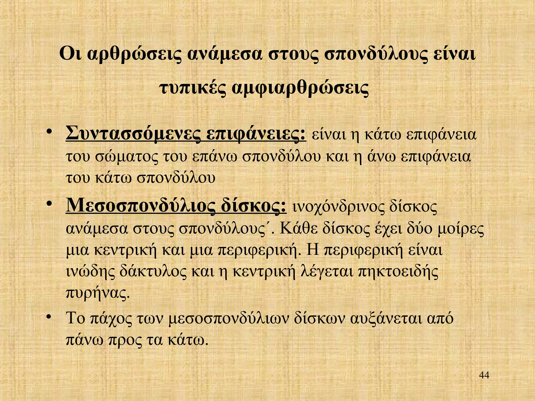 παρουσιαση ερειστικο συστημα οστα-σπονδυλικη στηλη | PPT