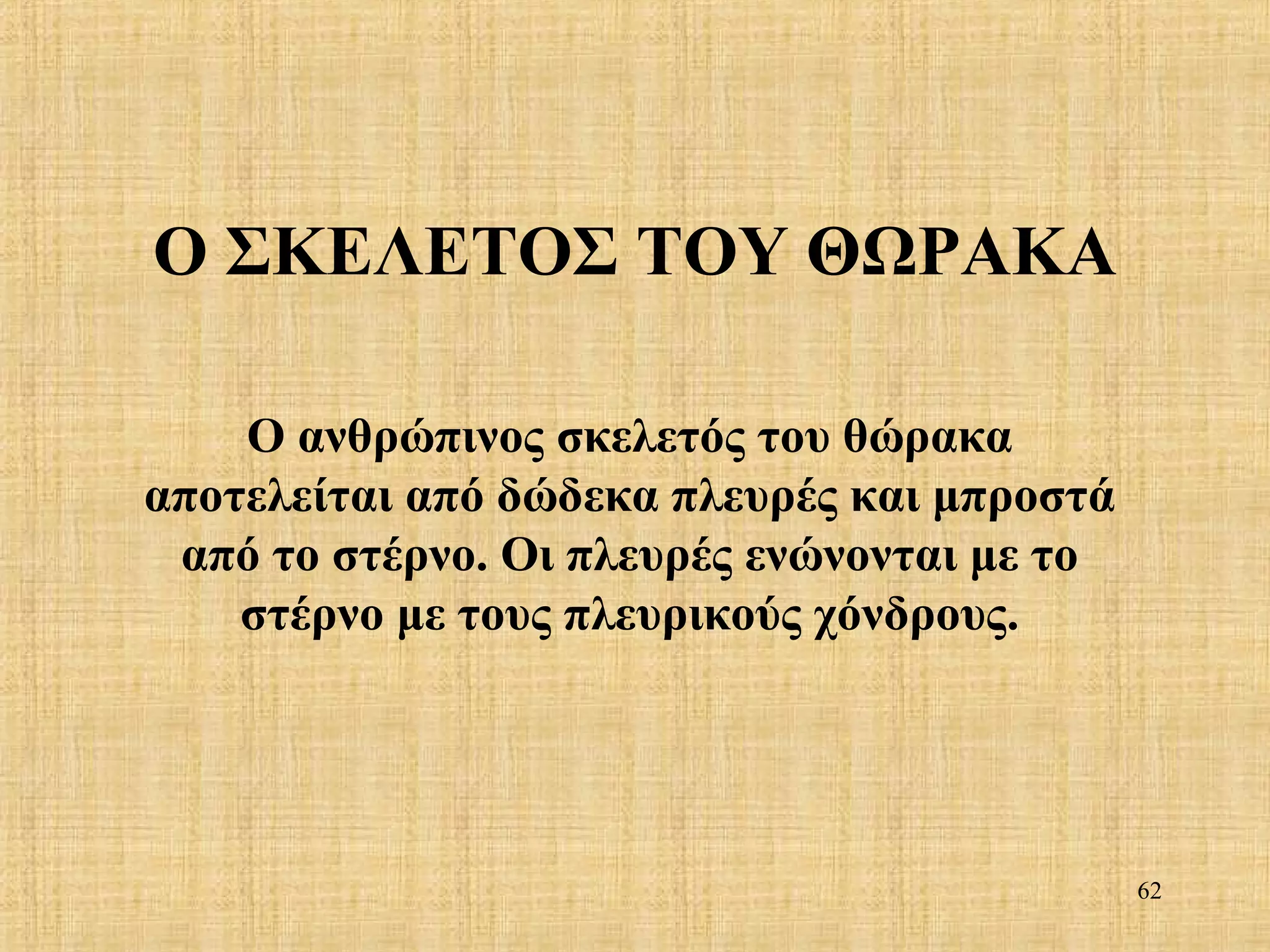 παρουσιαση ερειστικο συστημα οστα-σπονδυλικη στηλη | PPT