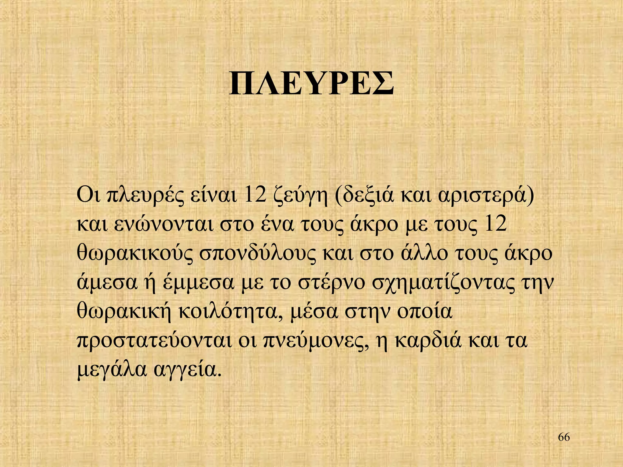 παρουσιαση ερειστικο συστημα οστα-σπονδυλικη στηλη | PPT