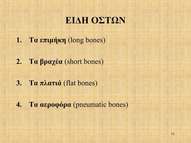 παρουσιαση ερειστικο συστημα οστα-σπονδυλικη στηλη | PPT