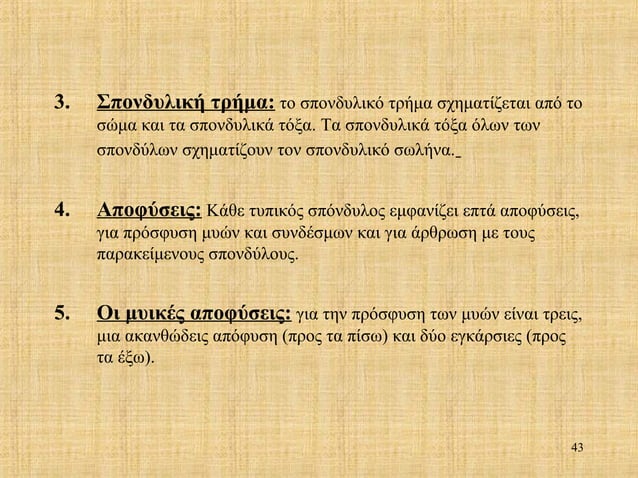 παρουσιαση ερειστικο συστημα οστα-σπονδυλικη στηλη | PPT