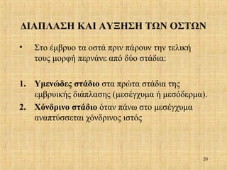 παρουσιαση ερειστικο συστημα οστα-σπονδυλικη στηλη | PPT