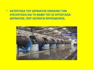 Tα στάδια κατασκευής των υποδημάτων. | PPT