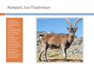 δικαιωματα και προστασια ζωων | PPTX