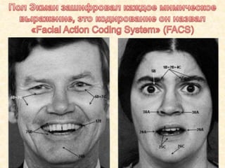 мимика и жесты | PPT