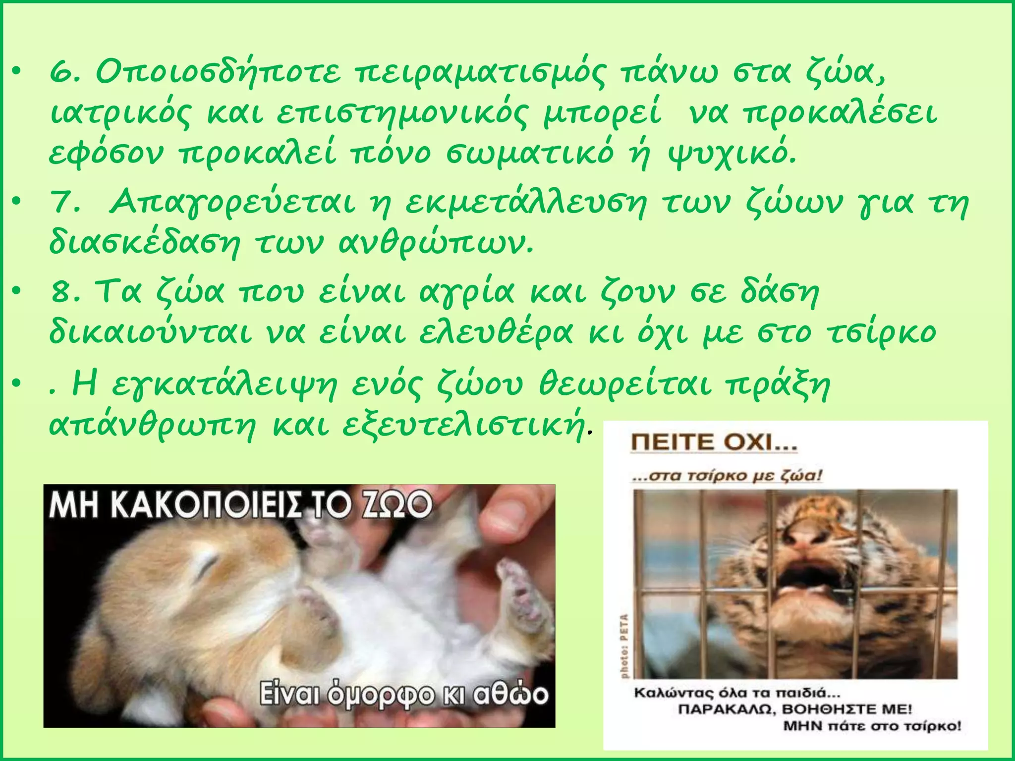 Animal rights presentation | PPTX