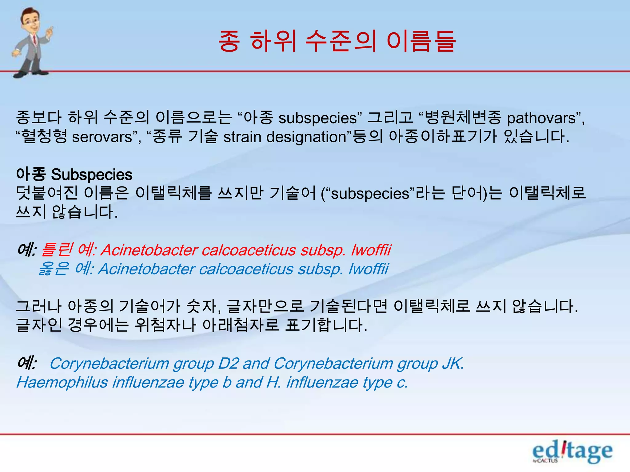 세균 이름 바로쓰기 (Bacterial names: Writing them correctly) | PPTX
