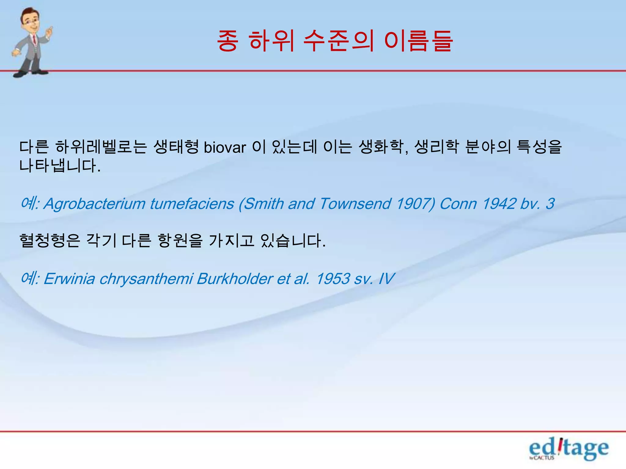 세균 이름 바로쓰기 (Bacterial names: Writing them correctly) | PPTX