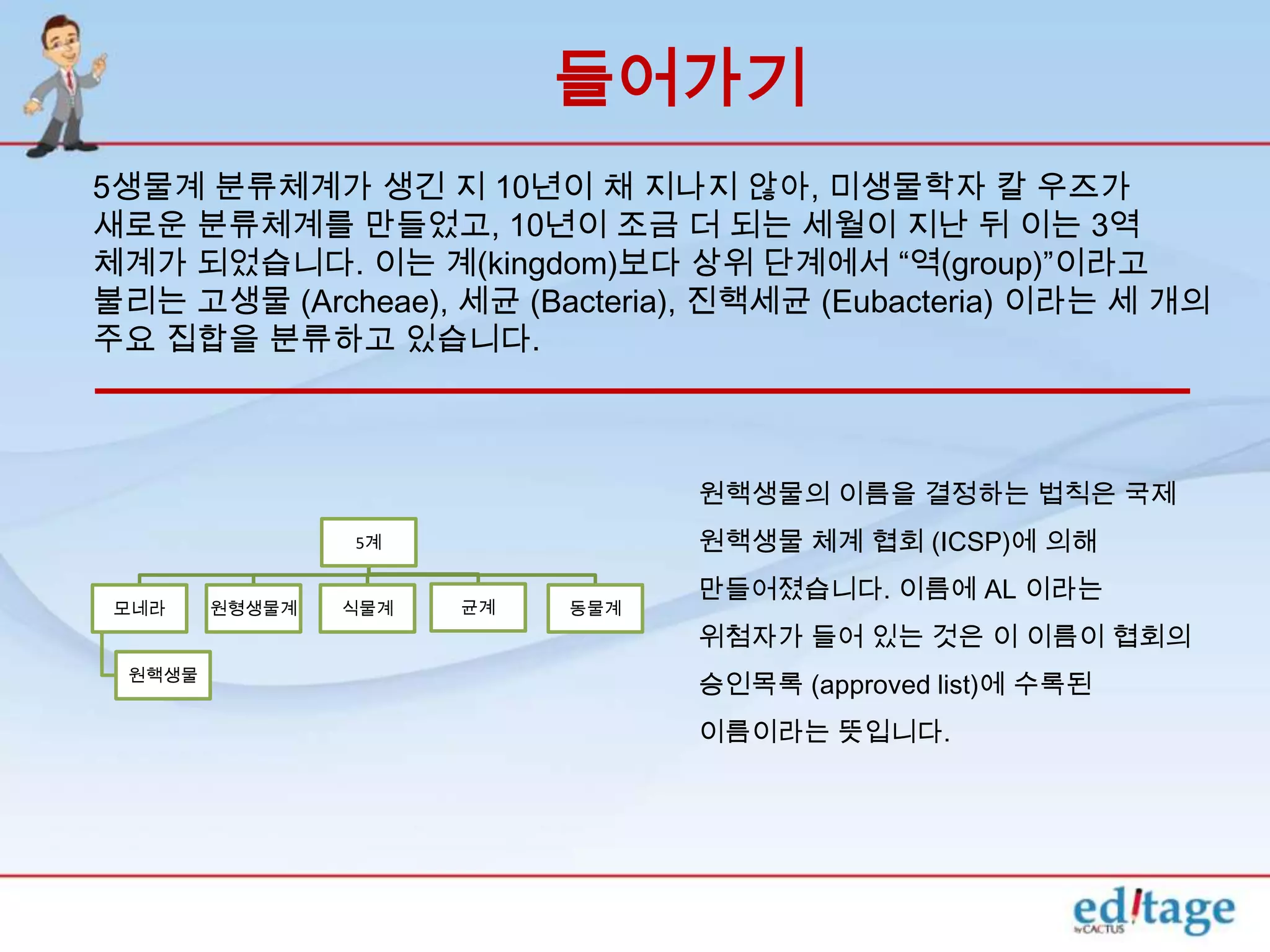 세균 이름 바로쓰기 (Bacterial names: Writing them correctly) | PPTX