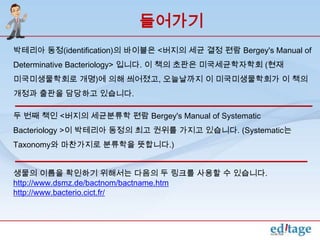 세균 이름 바로쓰기 (Bacterial names: Writing them correctly) | PPTX