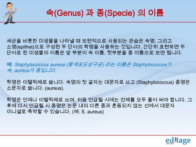 세균 이름 바로쓰기 (Bacterial names: Writing them correctly) | PPTX