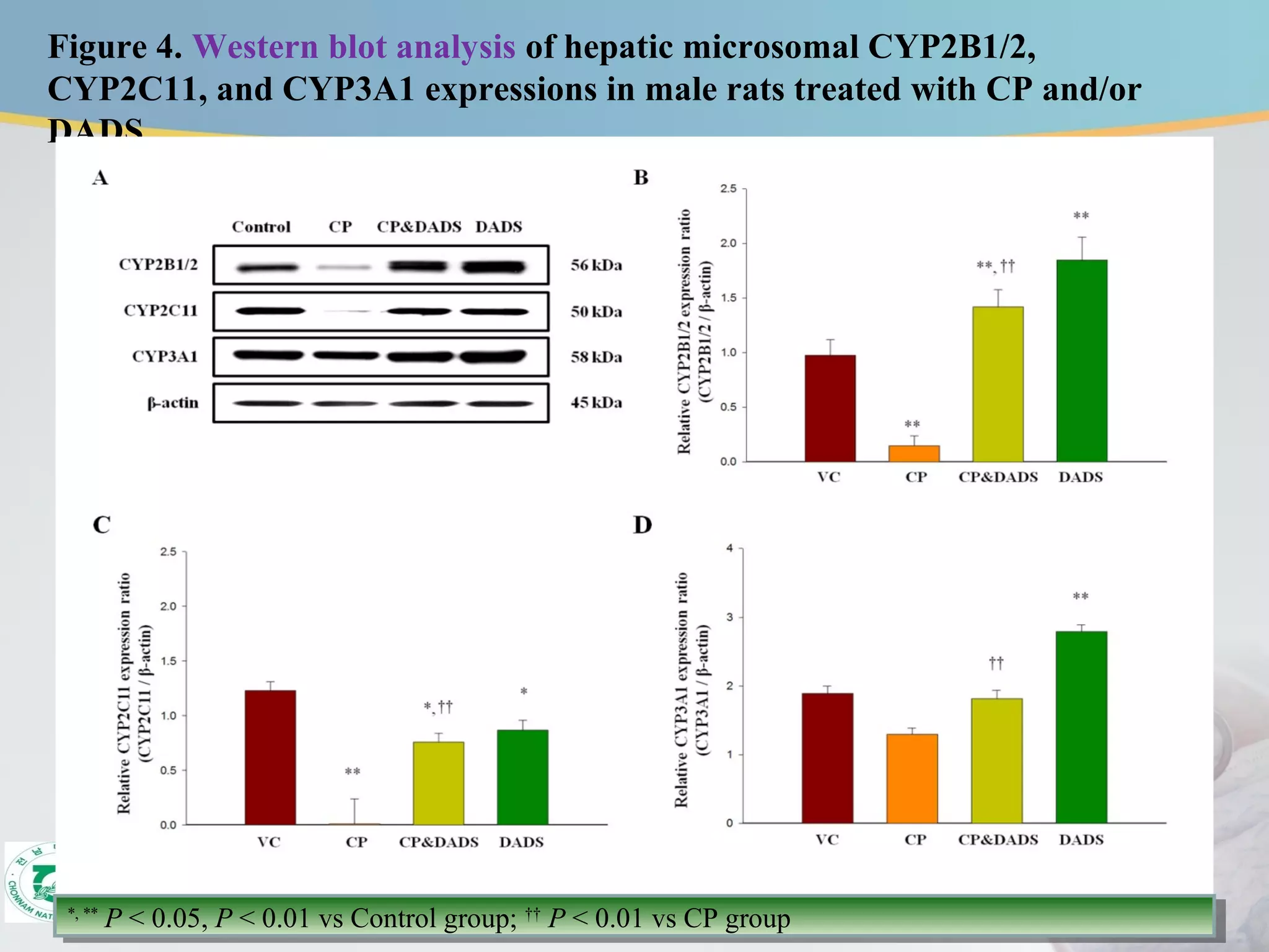 Mechanism of protection by daily... | PPT