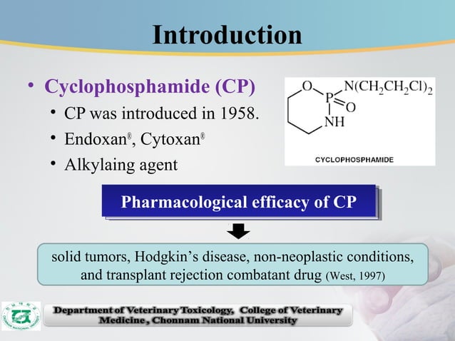 Mechanism of protection by daily... | PPT