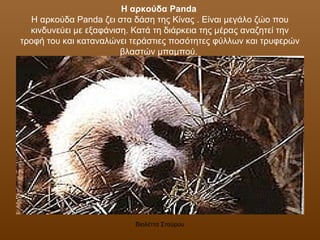 ΑΡΚΟΥΔΑ | PPT