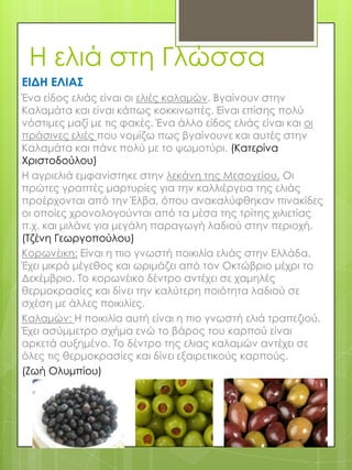 Eλιά, το χρυσάφι της ελλήνικης γης | PPTX