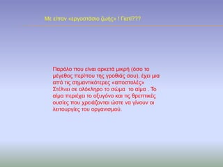 η καρδια μας εργοστασιο ζωης | PPT