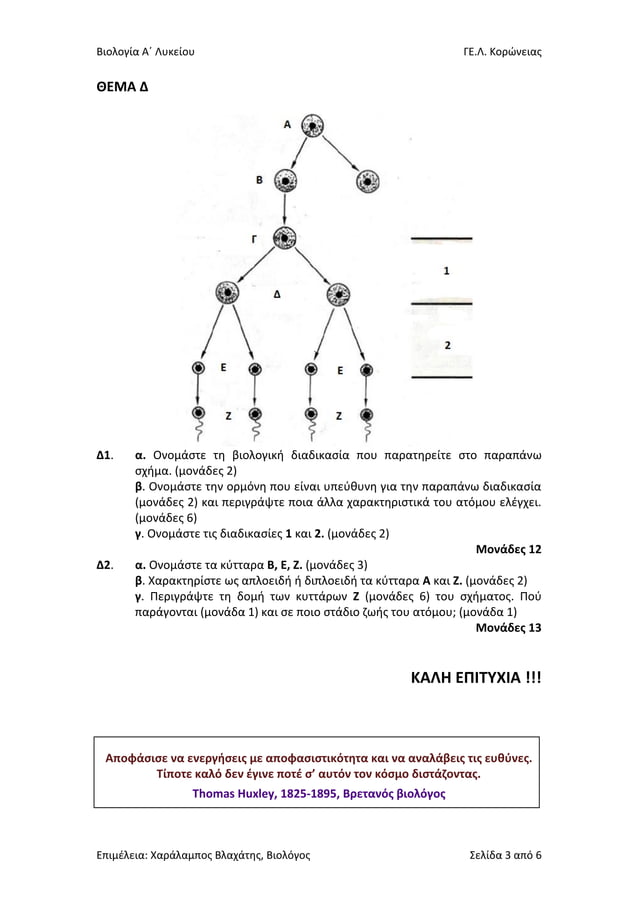 διαγώνισμα βιολογία α' λυκείου (κεφ. 12) | PDF