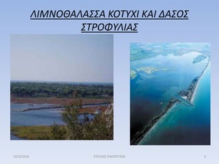 Γεωγραφια Στ- Η ΣΥΝΘΗΚΗ ΡΑΜΣΑΡ | PPTX